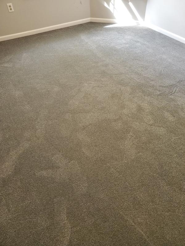 STAINMASTER (Sample) Plenitude Perfect Balance Brown 44-oz sq yard ...
