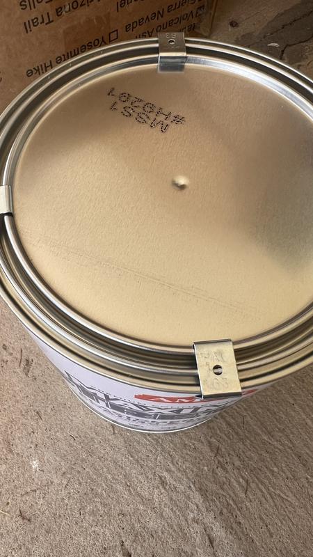 AMES Maximum-Stretch 1-gallon White Elastomeric Reflective Roof Coating ...