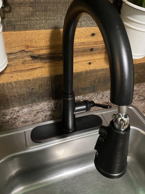 allen + roth Townley Spot Free Stainless Steel Single Handle Pull-down ...