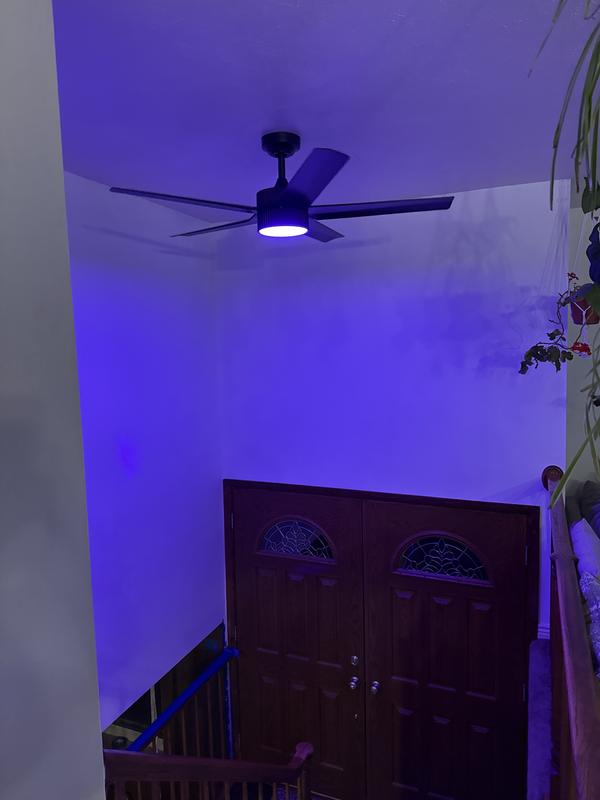 Globe Electric Novara 56-in Black with Matte Blades Color-Changing ...