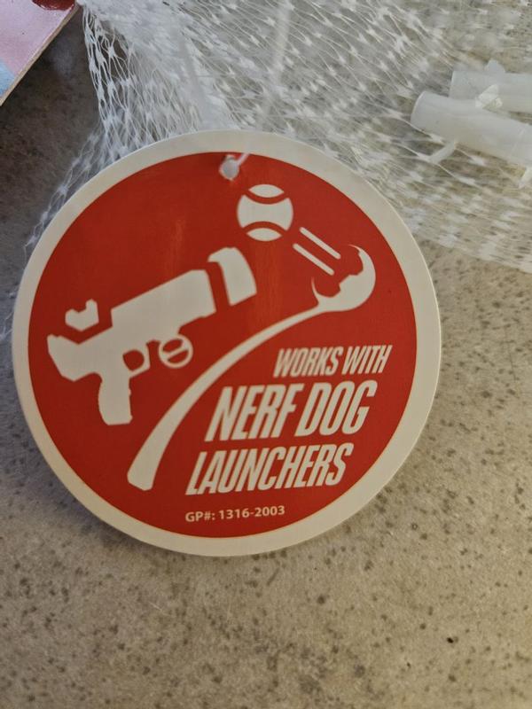 Nerf Pet Nerf Rubber Interactive Dog Toy 3484 at Lowes.com
