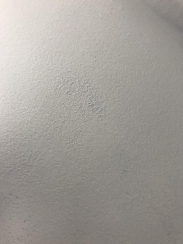 Valspar Signature Flat Pale Powder 3001-8a Latex Interior Paint ...