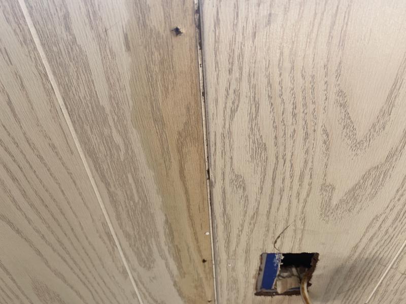 RELIABILT 9/16-in x 3-1/4-in x 12-ft Colonial Primed Finger Jointed ...