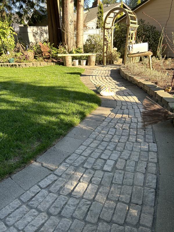 Belgard 7-in L x 4-in W x 2-in H Rectangle Sheffield Concrete Paver ...