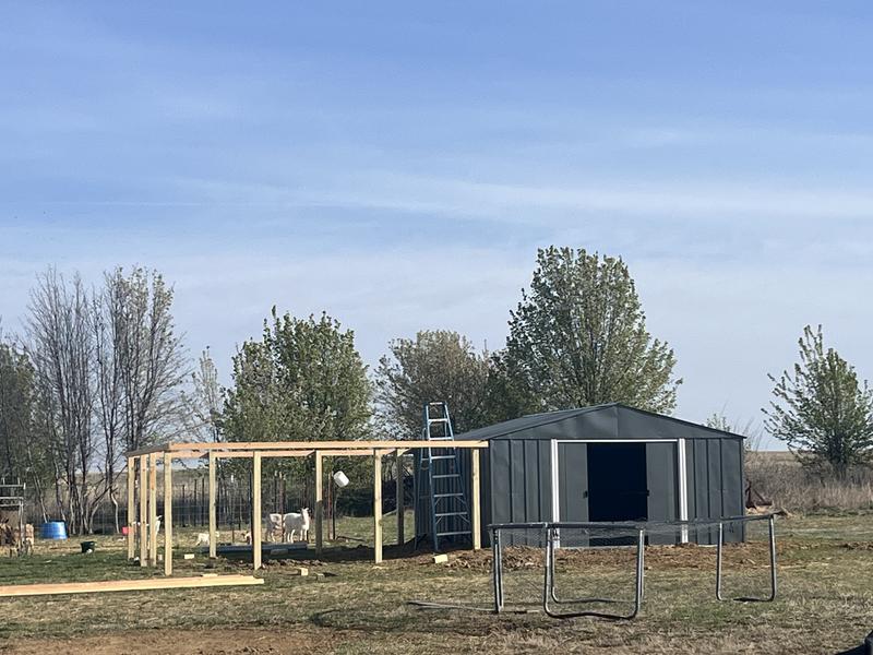 Arrow 14-ft x 14-ft Classic Galvanized steel Storage Shed in the Metal ...