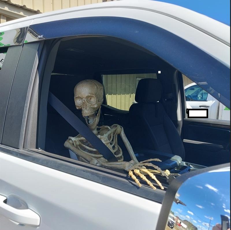 Haunted Living 5-ft 4-Pack Posable Bone Skeletons 221791 at Lowes.com