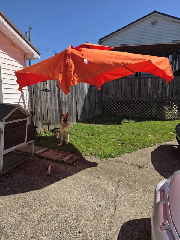 VOUA 9-ft Aluminum Red Crank Cantilever Patio Umbrella with Base in the ...