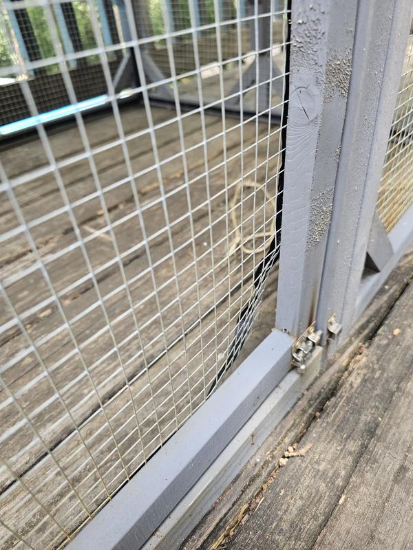 Xspracer Metal Outdoor Any Cat House ML-CH002 at Lowes.com