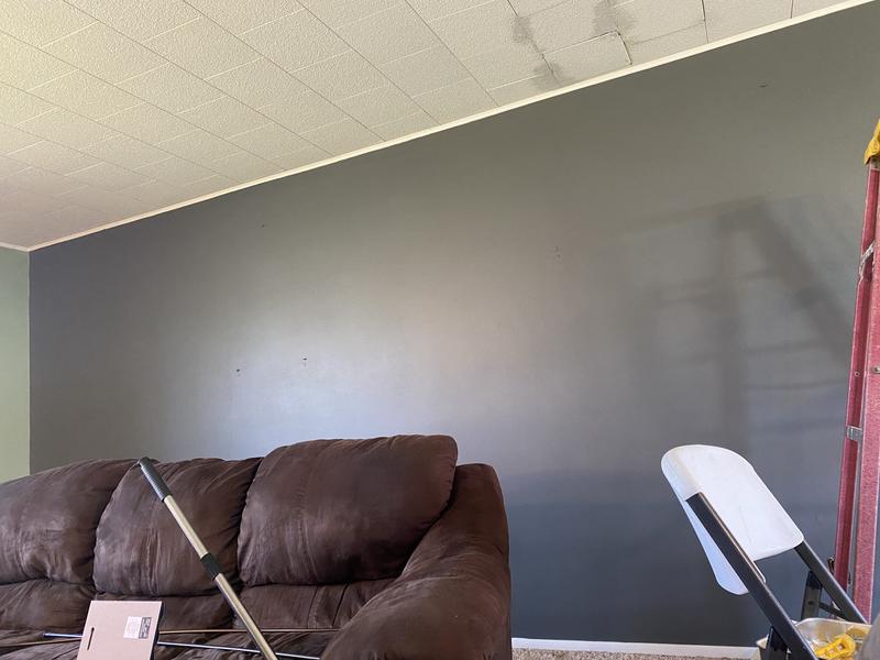 HGTV HOME by Sherwin-Williams Ovation Plus Eggshell Talc Powder ...