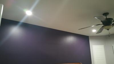 Catalina White 5-in or 6-in 700 -Lumens Cool White Round Dimmable LED 4 ...