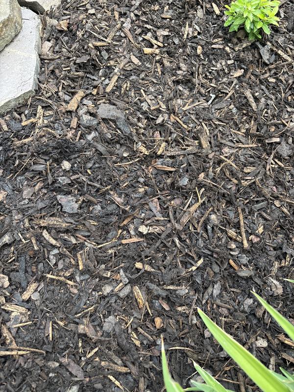 Timberline 2-cu ft All Natural Pine Bark Mulch 52055475 at Lowes.com