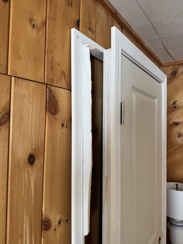Masonite 24-in x 80-in (primed) Hollow Core 2-panel Right Hand Molded ...