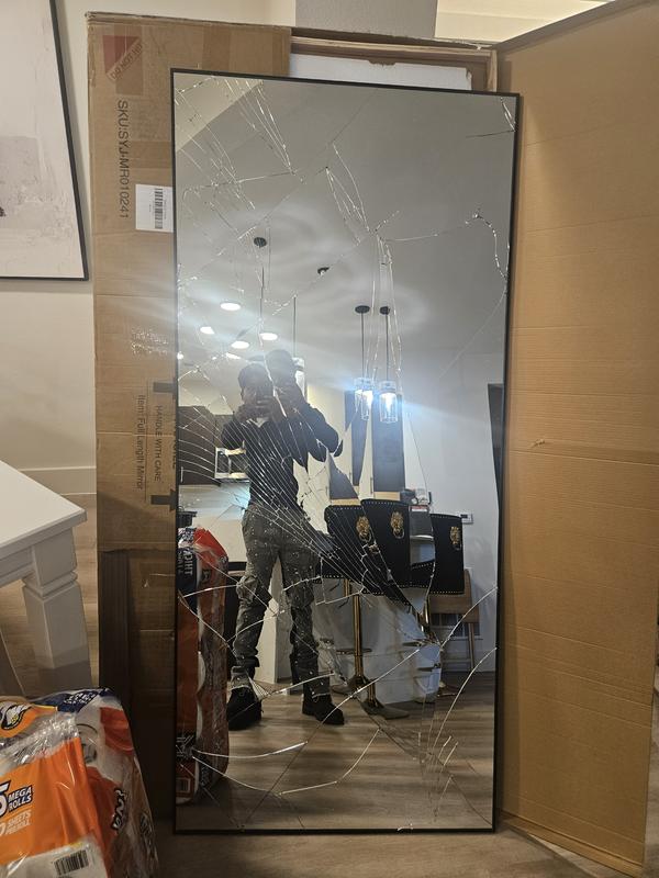 Dovelina 28-in W x 71.0-in H Rectangle Sliver Polished Full Length Wall ...