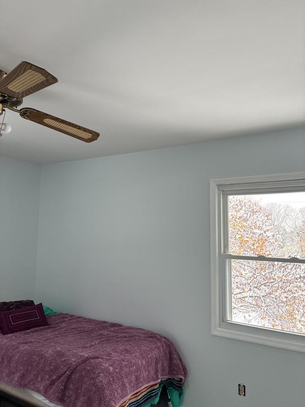 Valspar Ultra Eggshell Mountain Smoke 6004-2b Latex Interior Paint ...