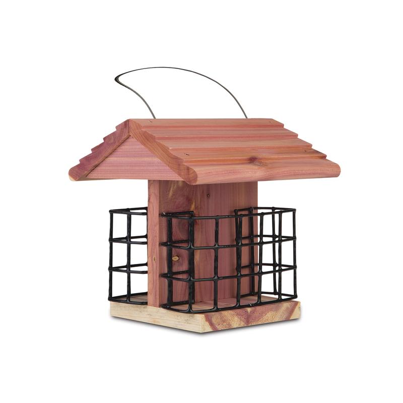 Pennington Cedar Double Suet Wood Hanging Hopper Bird feeder - 3-lb 2 ...