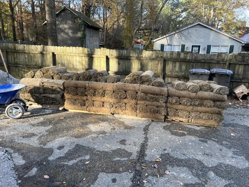 Harmony Outdoor Brands 500-sq ft Natural Zoysia Sod Pallet ZOYS500DCOM ...