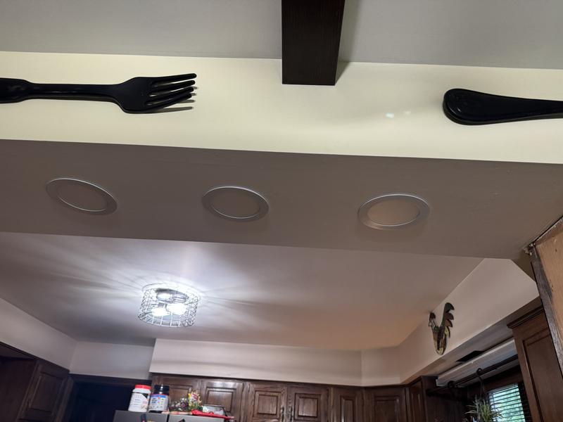 Utilitech White with Bug Light 6-in 1200 -Lumens Switchable white Round ...