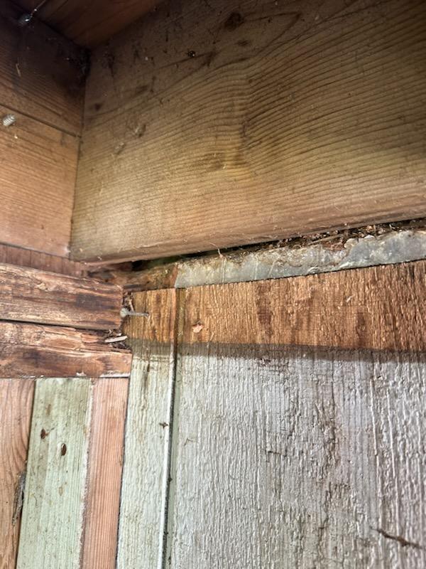 TOMCAT Rodent Block Expanding Foam Barrier 2-Pack Rodent Prevent ...