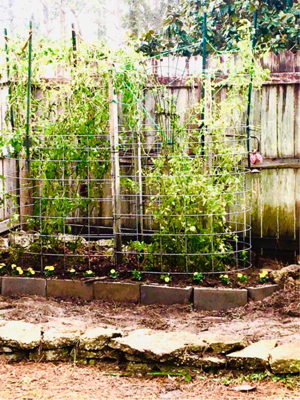 Midwest Products Group 4.0-in W x 8.0-in H x 16.0-in L Cored Concrete ...