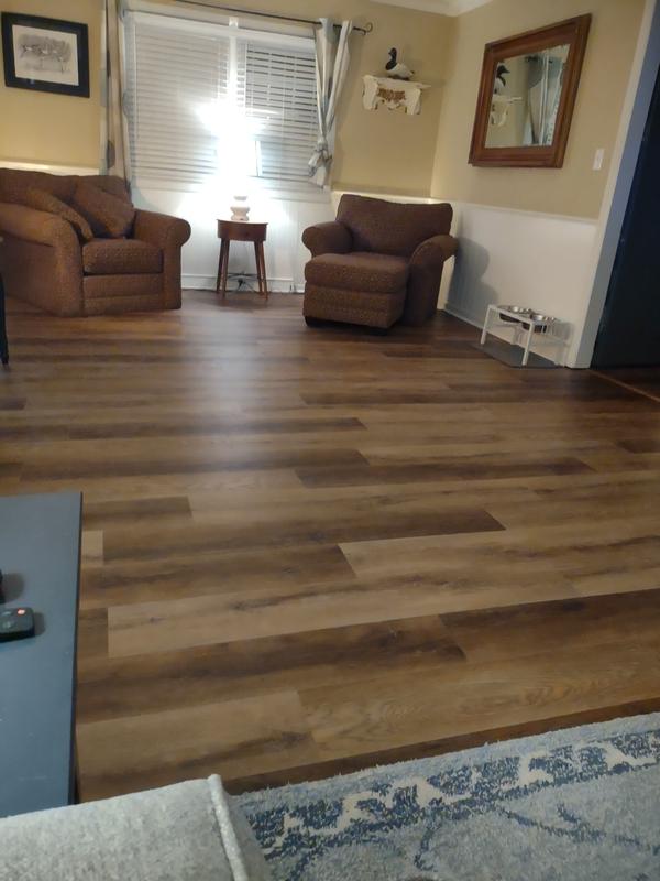 STAINMASTER PetProtect (Sample) Wendover Oak Brown Wood Look 20-mil ...