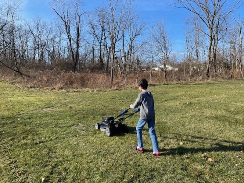 Wild Badger Power Cordless 40-volt, 21-in Self Propelled Battery Walk ...