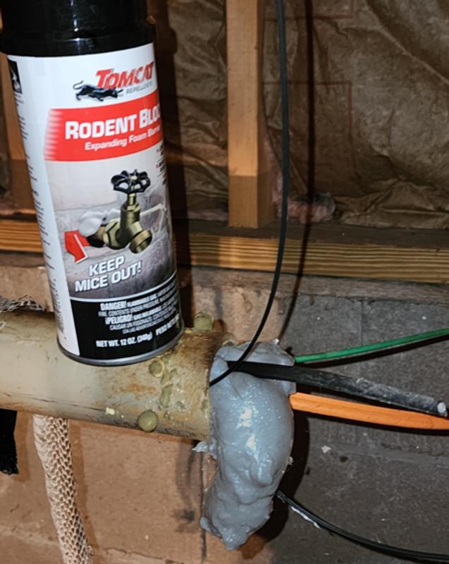 TOMCAT Rodent Block Expanding Foam Barrier Rat Prevent 4418510 at Lowes.com