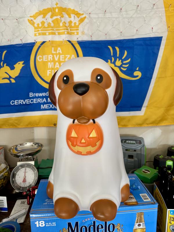 Haunted Living 20in LED Dog Ghost Blow Mold 552414 at Lowes.com