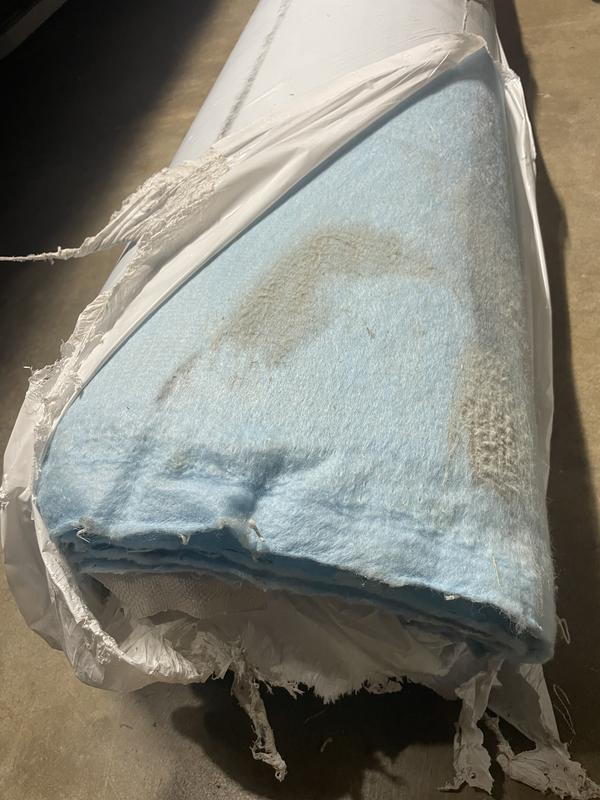 STAINMASTER PetProtect with LeakDefense Animal Instincts III Suede ...