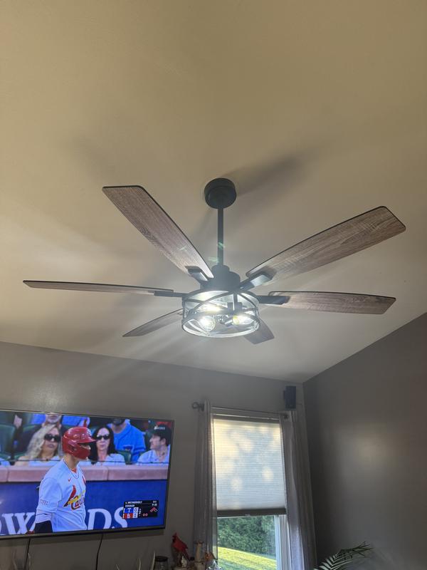 SILJOY 60-In Black Farmhouse Cage Ceiling Fan with Light Remote Control ...
