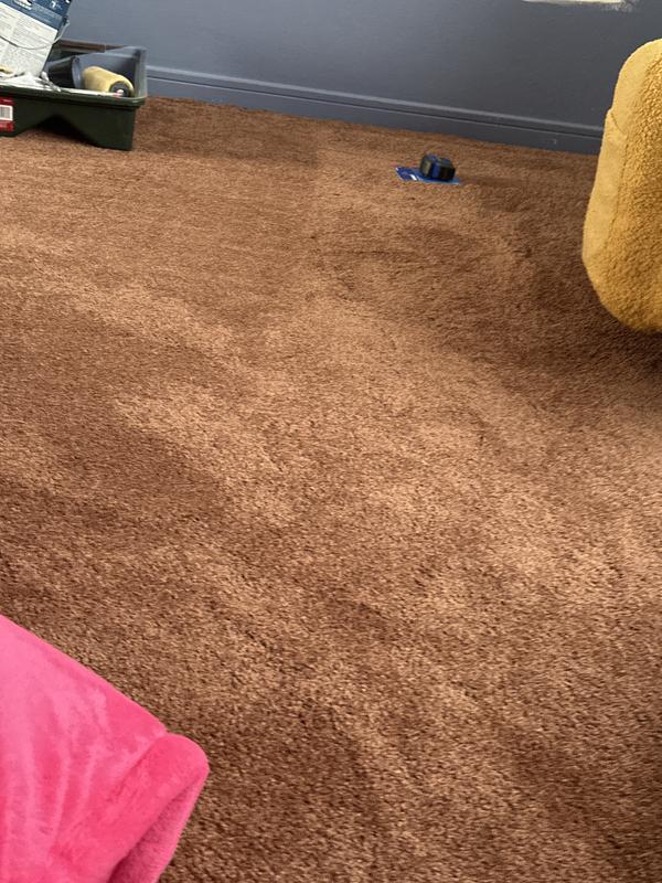 STAINMASTER (Sample) Unmatched Beauty IV Cheviot Off-white 97.5-oz sq ...