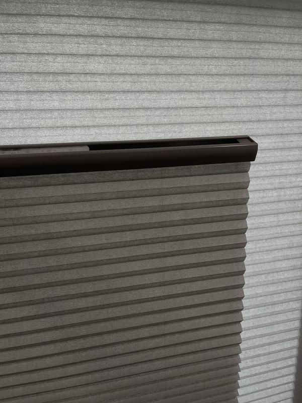 allen + roth 53-in x 72-in Gray Light Filtering Cordless Cellular Shade ...