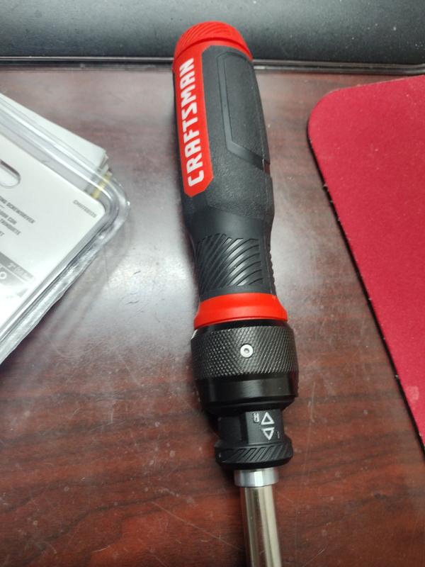 CRAFTSMAN 15-Piece Ratcheting Multi-bit Variety Pack Screwdriver Set ...