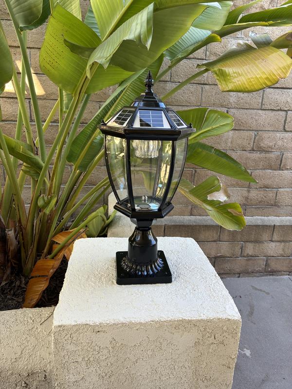 Flynama Black Solar LED Outdoor Path Light (6000 K) L-119966 at Lowes.com