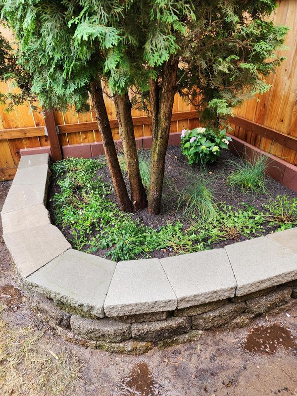 3-in H x 17.25-in L x 10.5-in D Gray Concrete Retaining Wall Cap ...