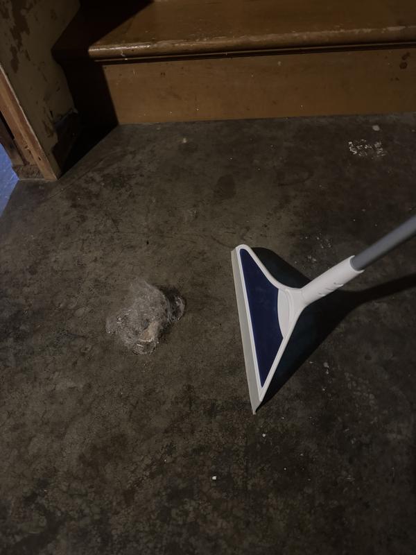 Helio AIR Broom 12-in Plastic Multi-surface Angle with dustpan Upright ...