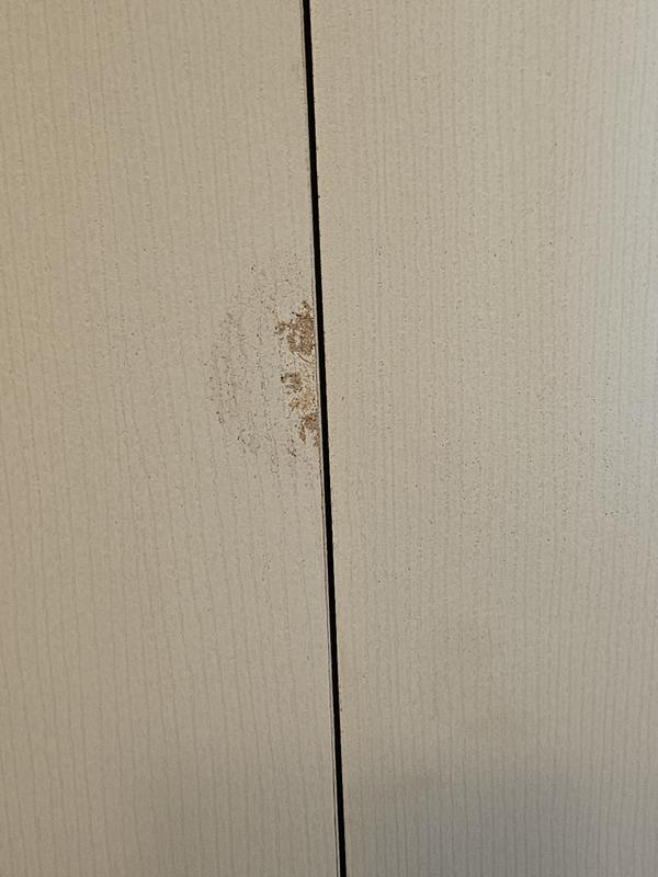 Masonite 32-in x 78-in (primed) 6-panel Textured Hollow core Primed ...