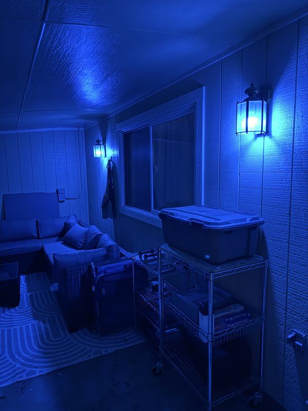 Philips Hue Hue Essentials Matter Certified 85 -Watt EQ BR30 Color ...