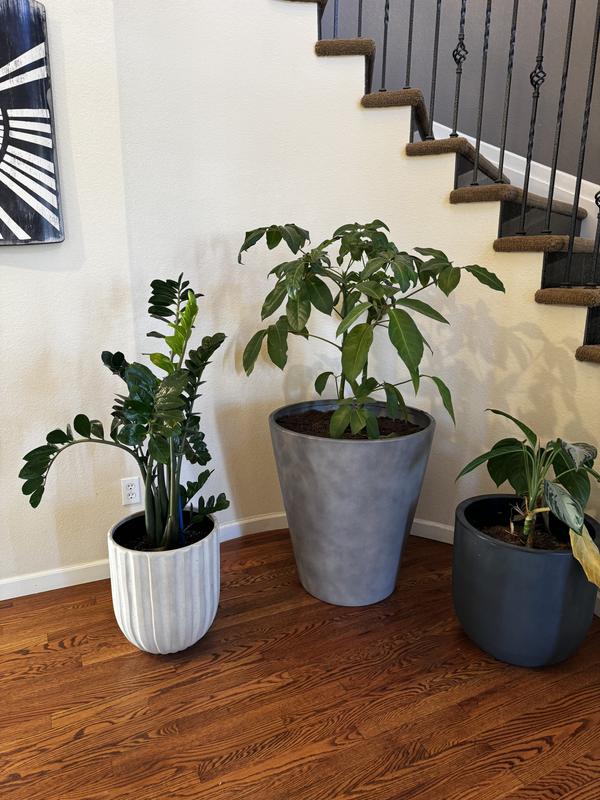 MPG Planters Round 20-in W Extra Large Gray Stone Outdoor Planter With ...