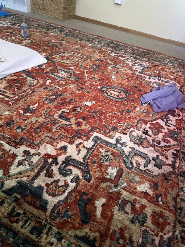 allen + roth with STAINMASTER Jezebel Performance 2 X 8 (ft) Garnet ...