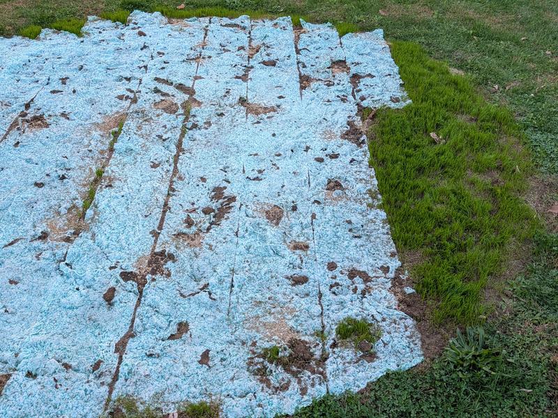 GrowTrax 50-ft x 1-ft Compost Fabric Natural Seed Blanket 802 at Lowes.com
