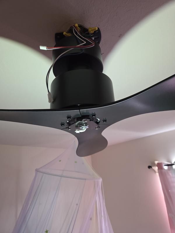 Breezary 52-in Black with Abs Blades Color-changing Indoor/Outdoor ...
