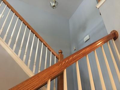 HGTV HOME by Sherwin-Williams Latitude Interior Eggshell Paint Sample ...