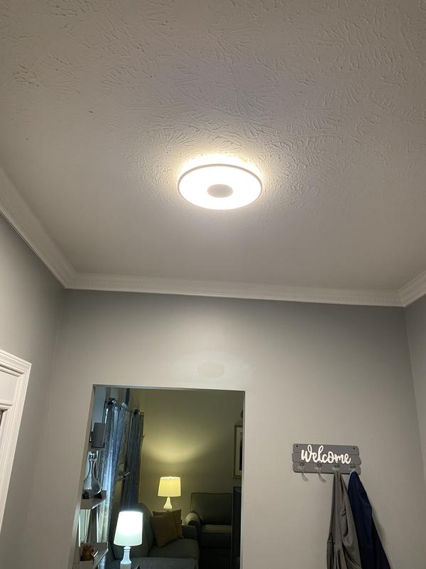 Origin 21 Ledger 1 -Light 12.875-in Matte Black Integrated LED Flush ...