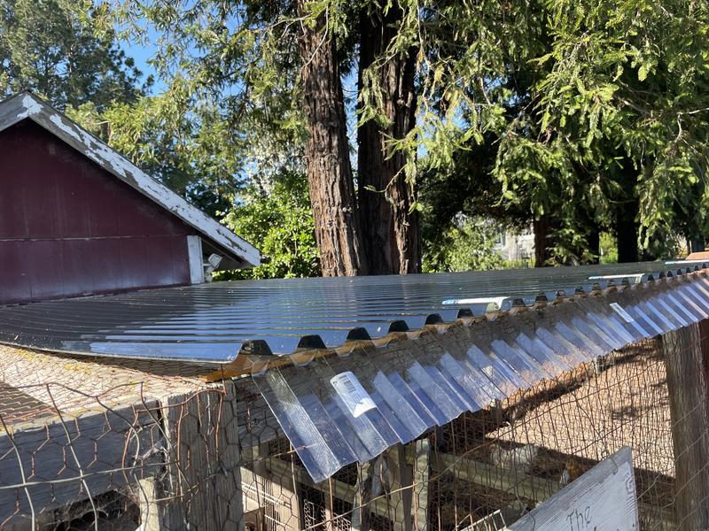 AmeriLux International CoverLite 12-in x 36-in Polycarbonate Roof Panel ...