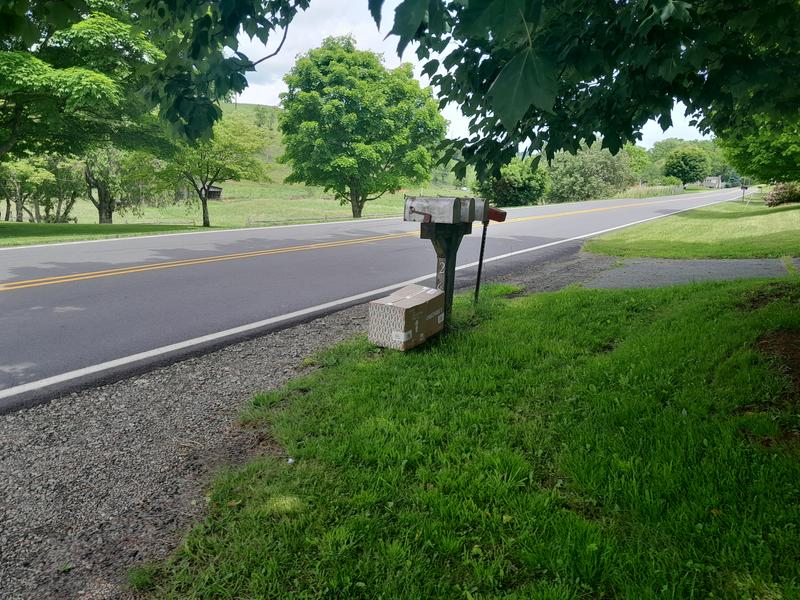 JONATHAN Y Penelope Chinoiserie Ginger Jar Floral Ceramic/Iron 22-in ...