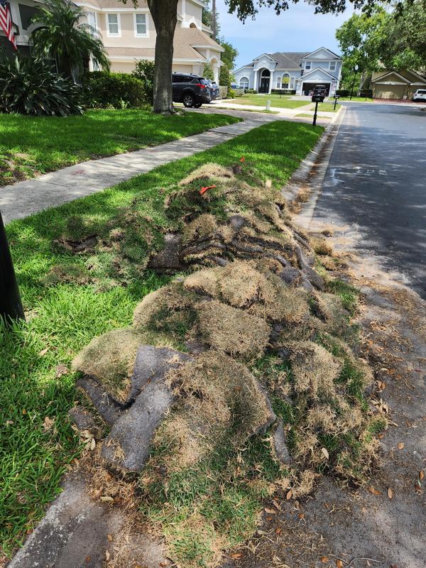 Harmony Outdoor Brands 500-sq ft Natural Zoysia Sod Pallet ZOYS500DCOM ...