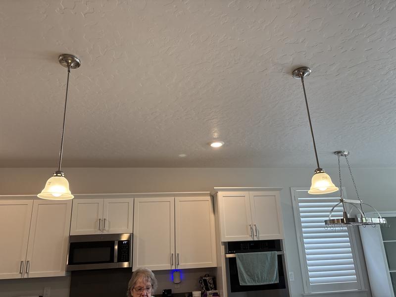 Project Source Fallsbrook 1 -Light Brushed Nickel Traditional Etched ...