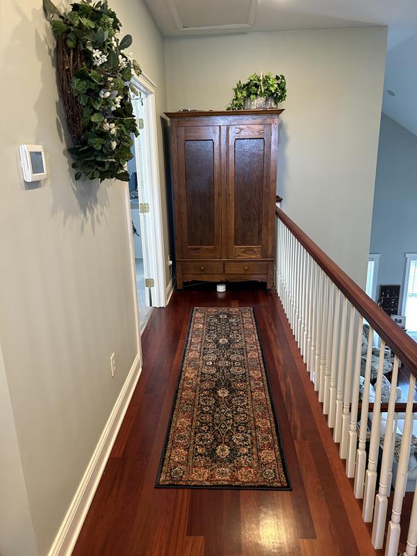 allen + roth with STAINMASTER Emerald Border 2 x 8 (ft) Loomed ...