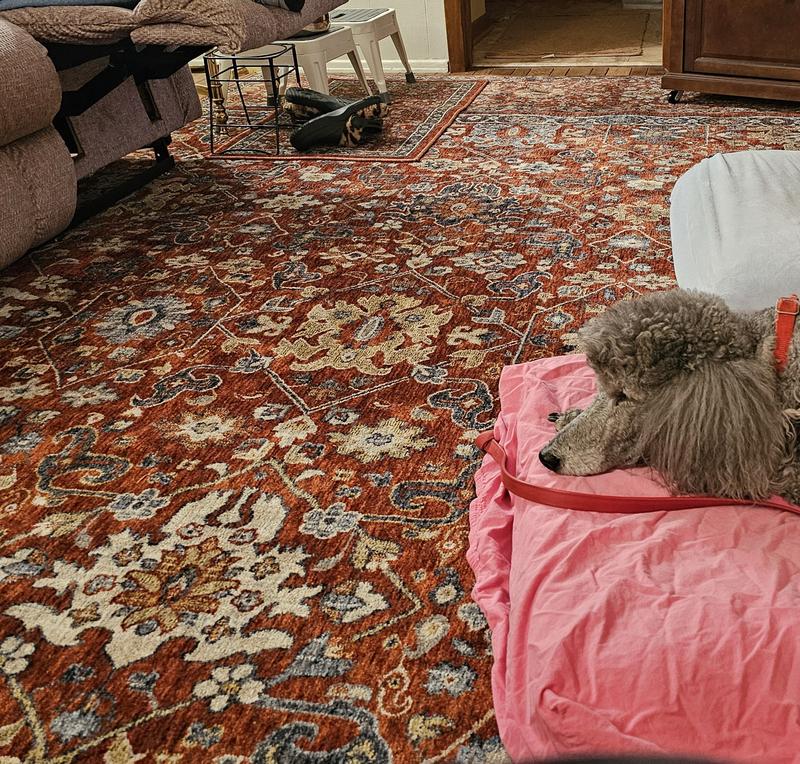 allen + roth Blake 8 X 10 (ft) Red Indoor Geometric Oriental Area Rug ...