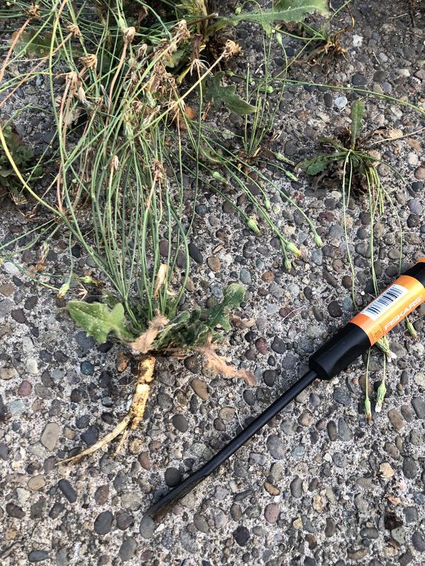 Fiskars 200S Hand Tool Weeder 373600-4001 at Lowes.com